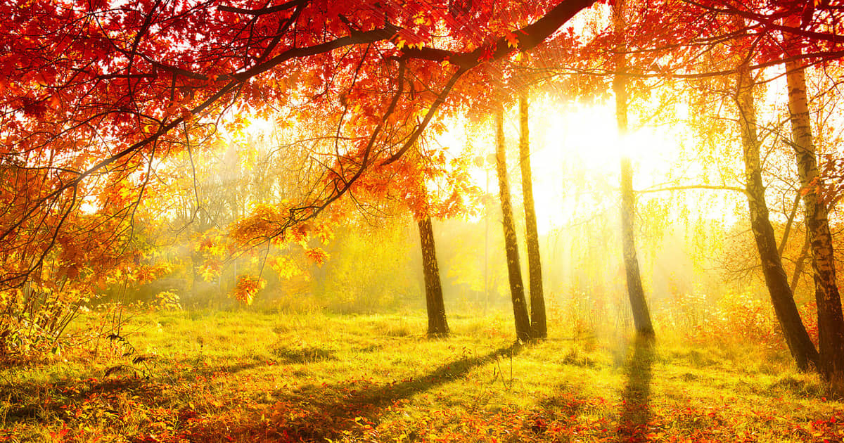 How Many Days until Autumn (or Fall)? | Countdown